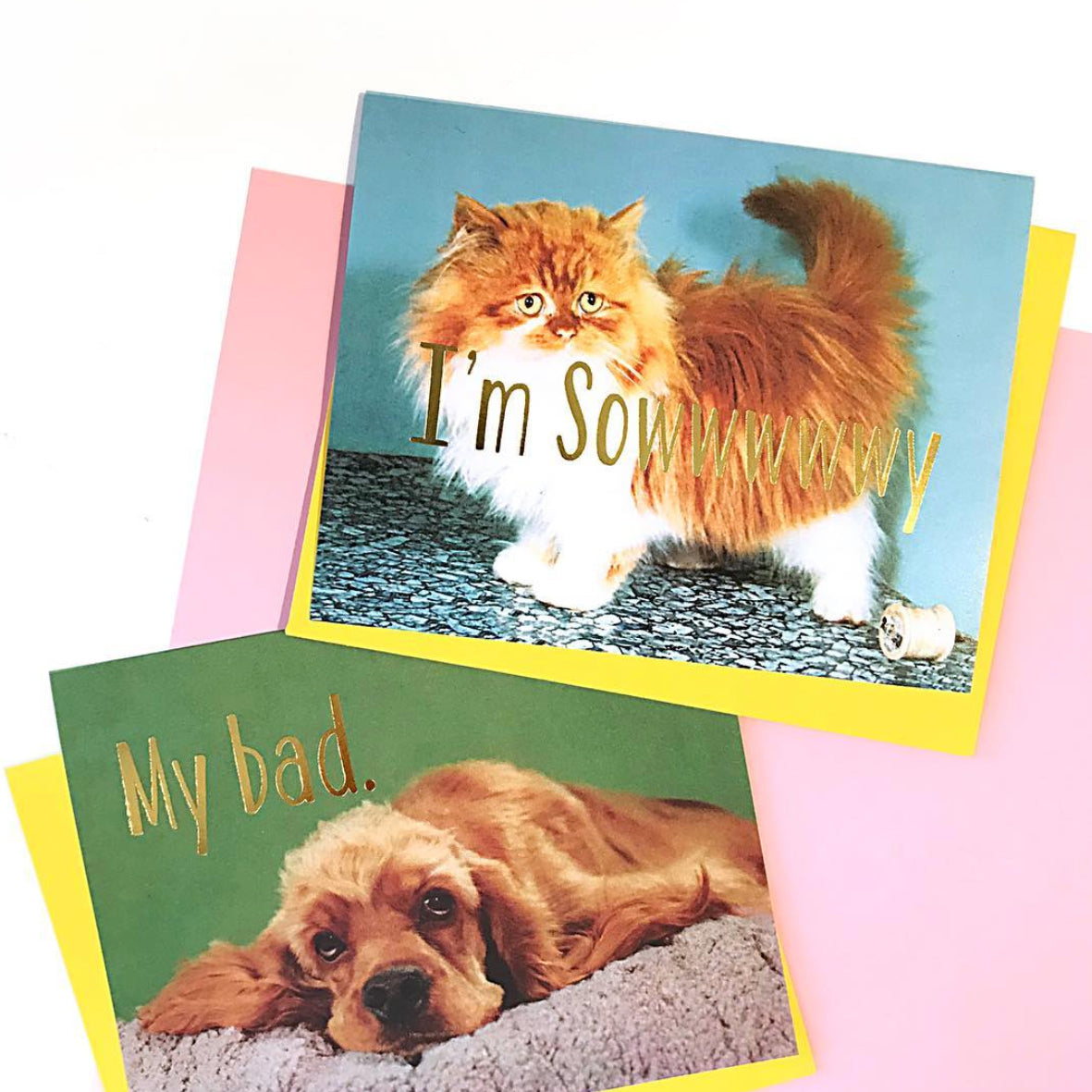 My Bad Card – Smitten Kitten